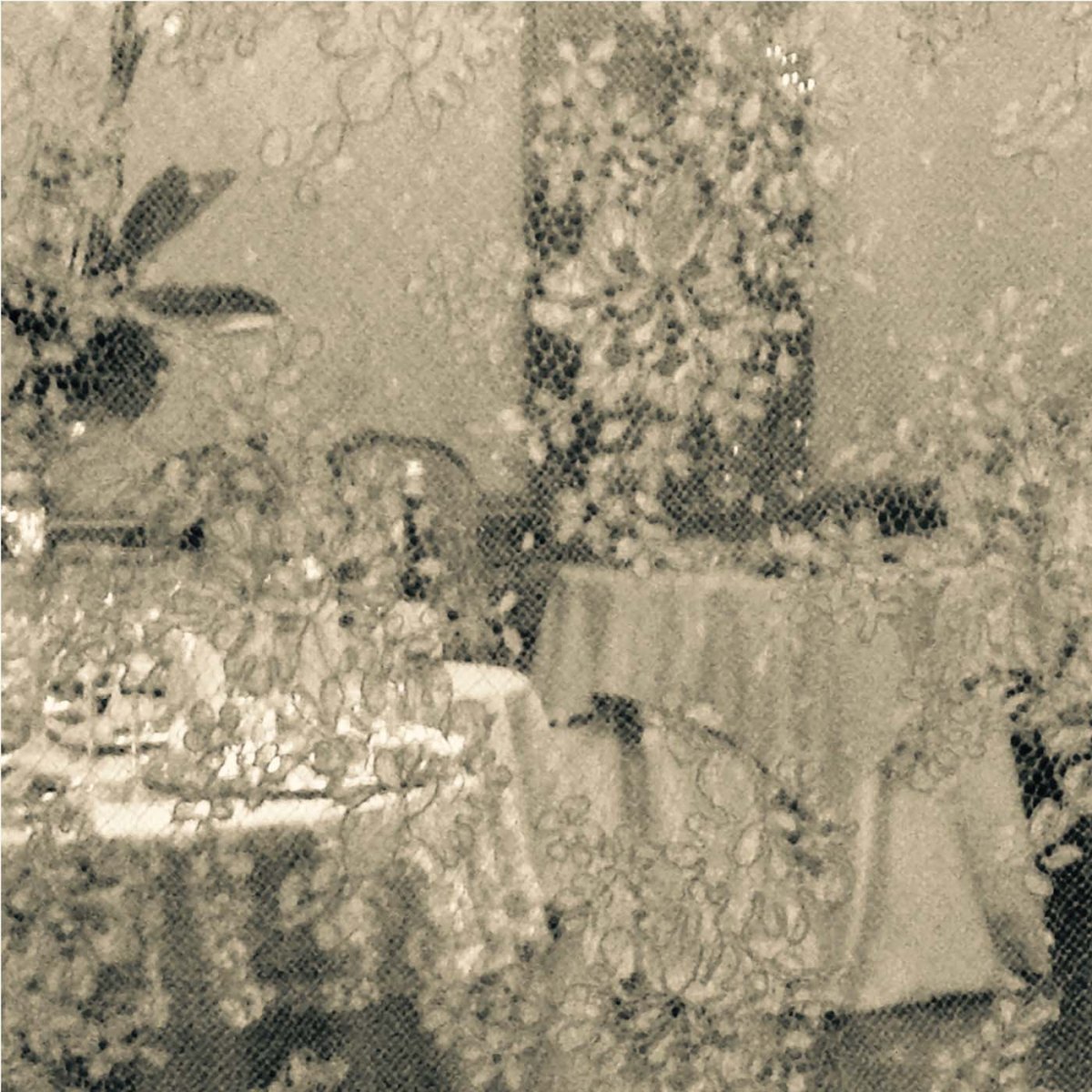 A Didactic List of Ghosts by Joseph Reich – Breathe Free Press Archive